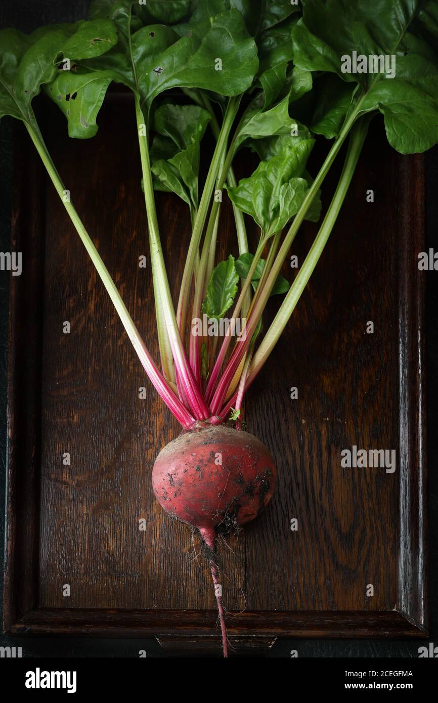 Beetroot wooden tray hi-res stock photography and images - Alamy
