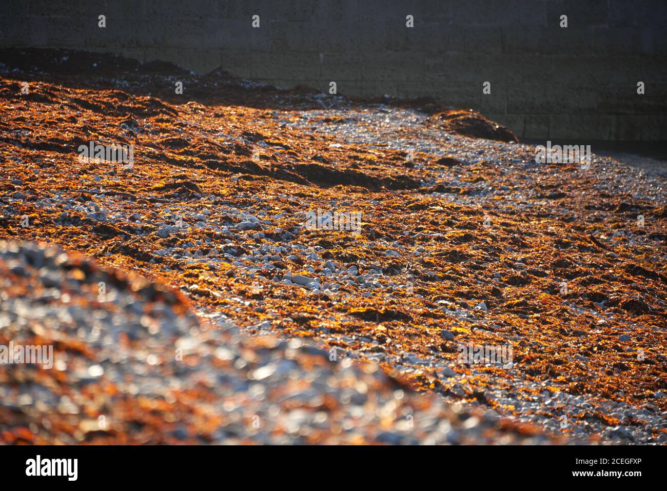 Beautiful historic Lyme Regis Dorset UK. UNESCO site, famous fossil ...