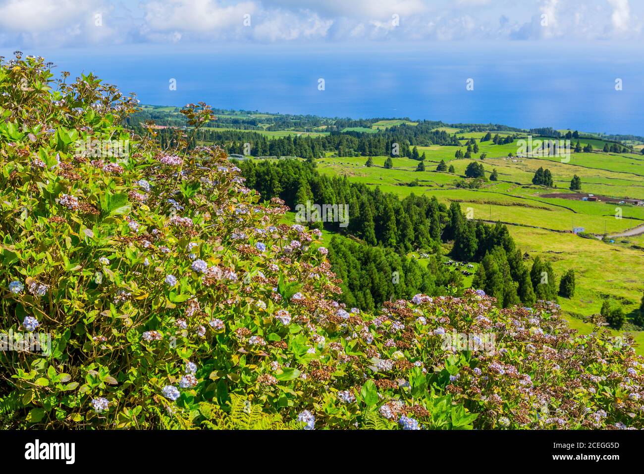 Beautiful landscape sceneries in Azores Portugal. Tropical nature in ...