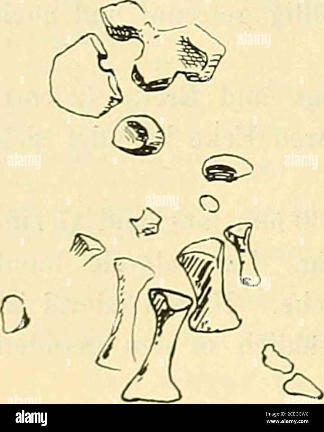 Dicke grenze hi-res stock photography and images - Alamy