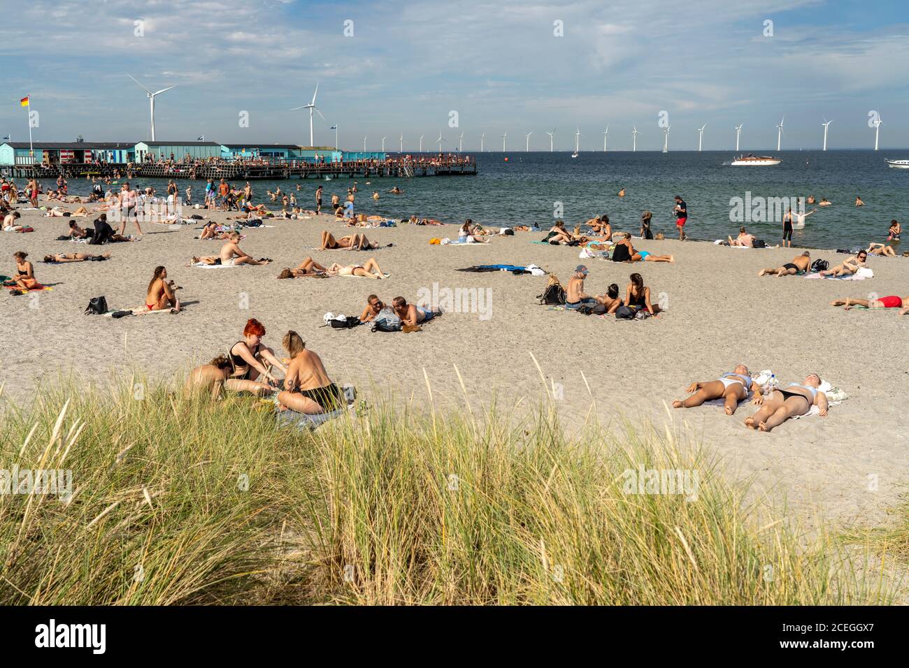 Amager strand park strand hi-res stock photography and images - Alamy
