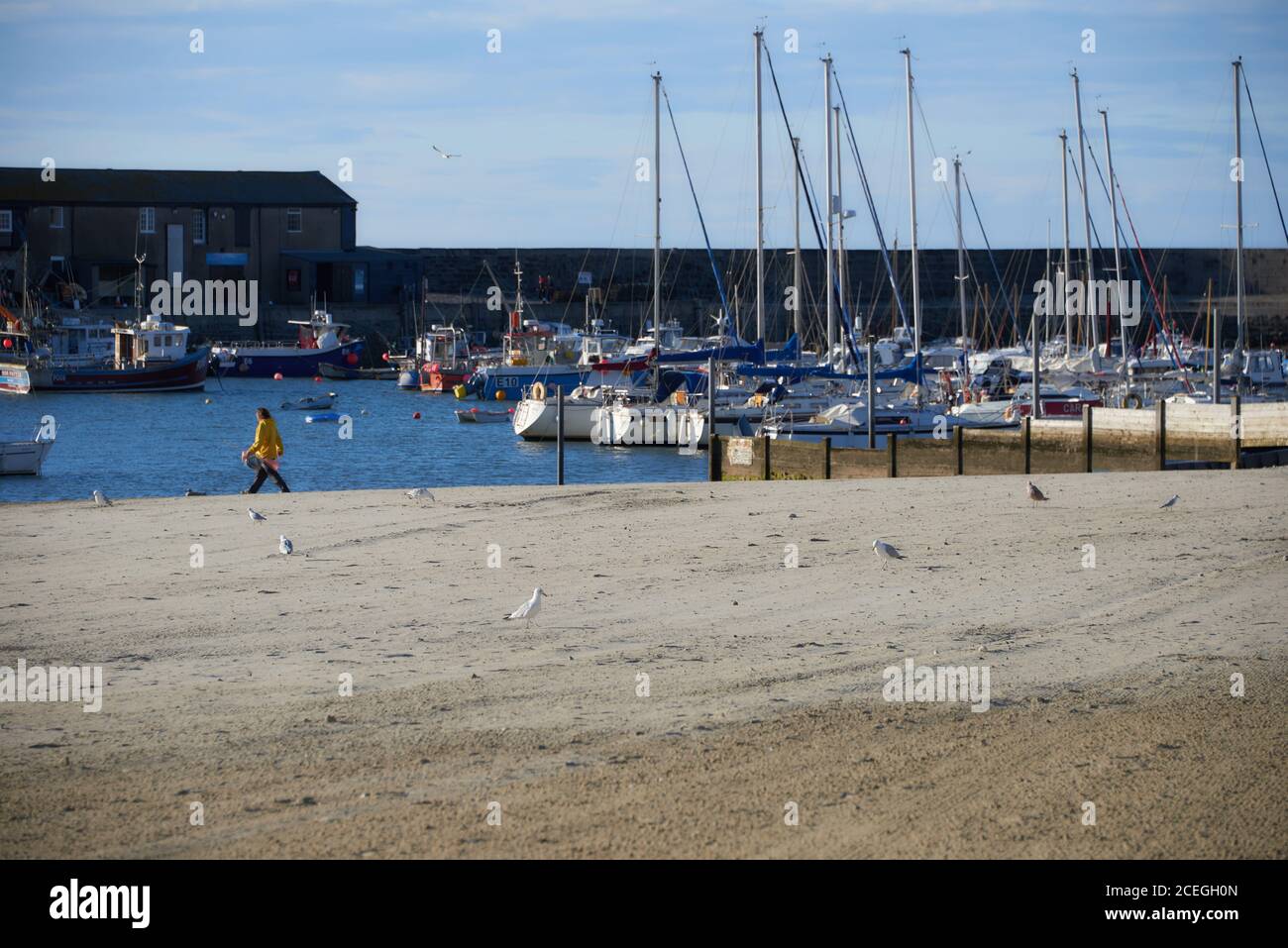 Beautiful historic Lyme Regis Dorset UK. UNESCO site, famous fossil ...