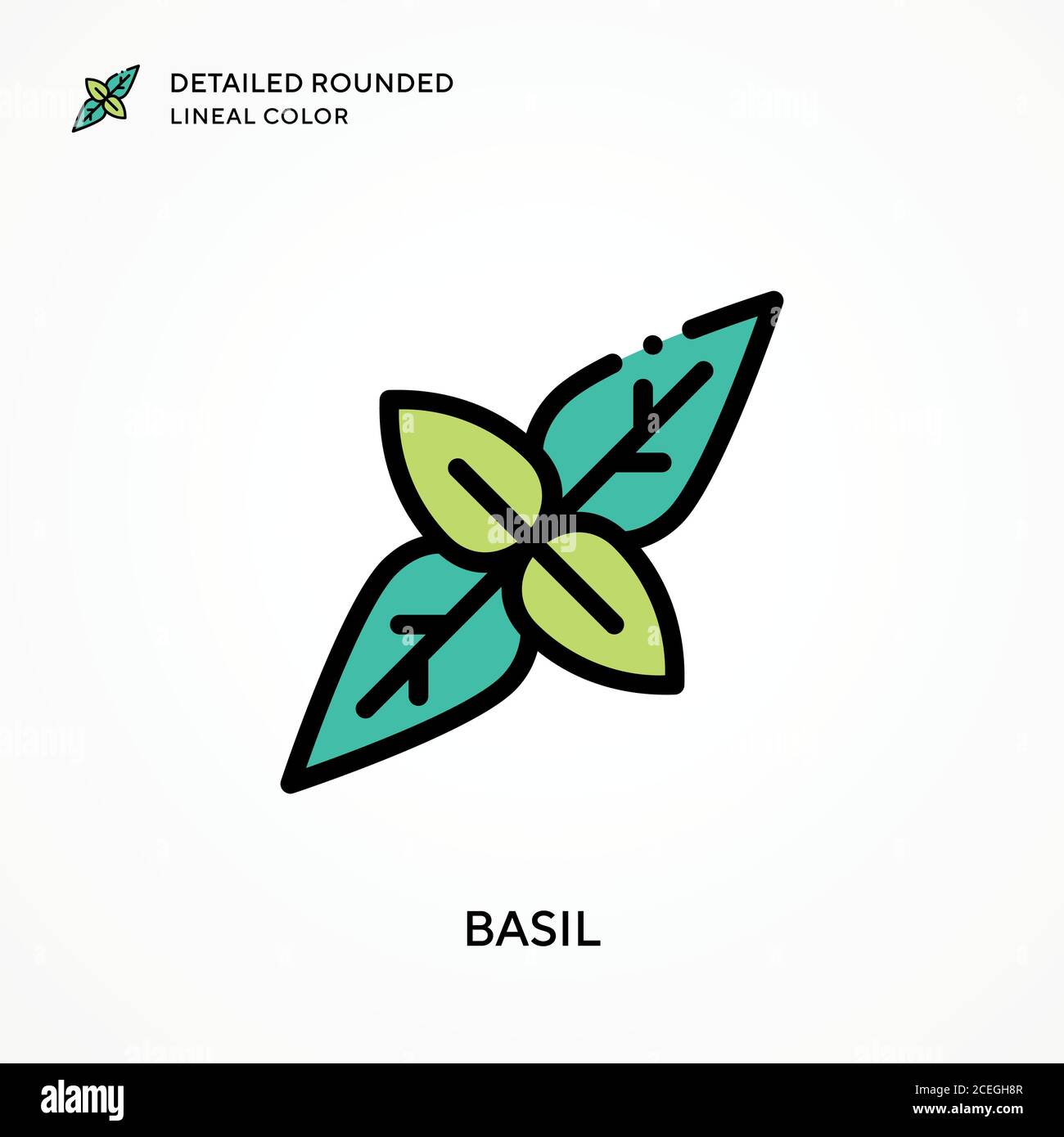 Basil detailed rounded lineal color. Modern vector illustration ...
