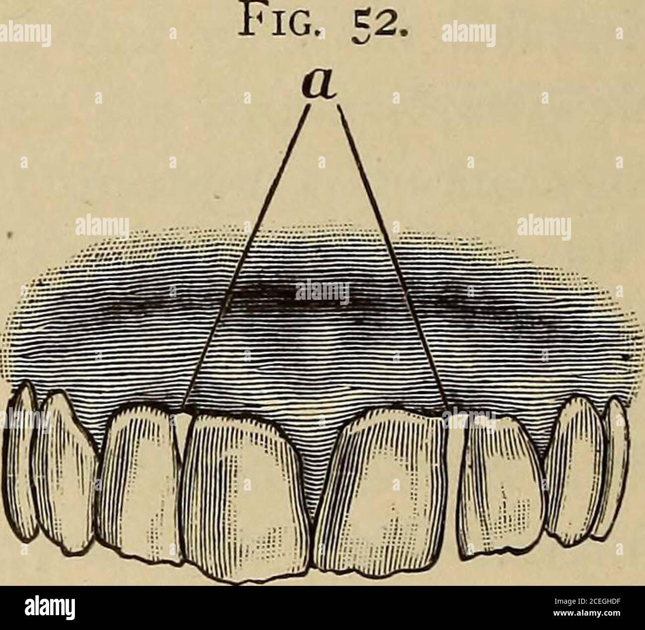 . Oral pathology and practice. A text-book for the use of students in ...