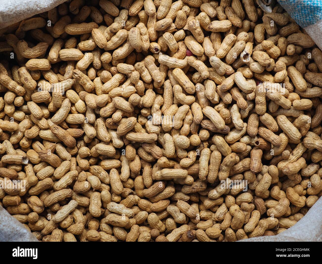 top view of lots of peanuts Stock Photo - Alamy