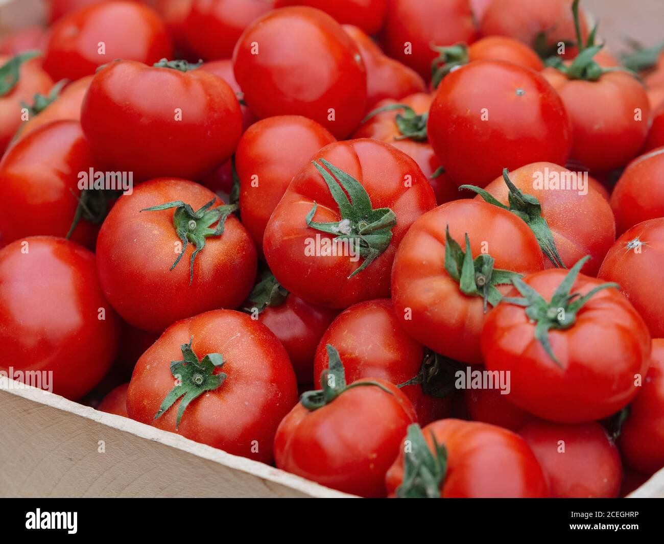 View from above of ripe red delicious tomatoes Stock Photo - Alamy