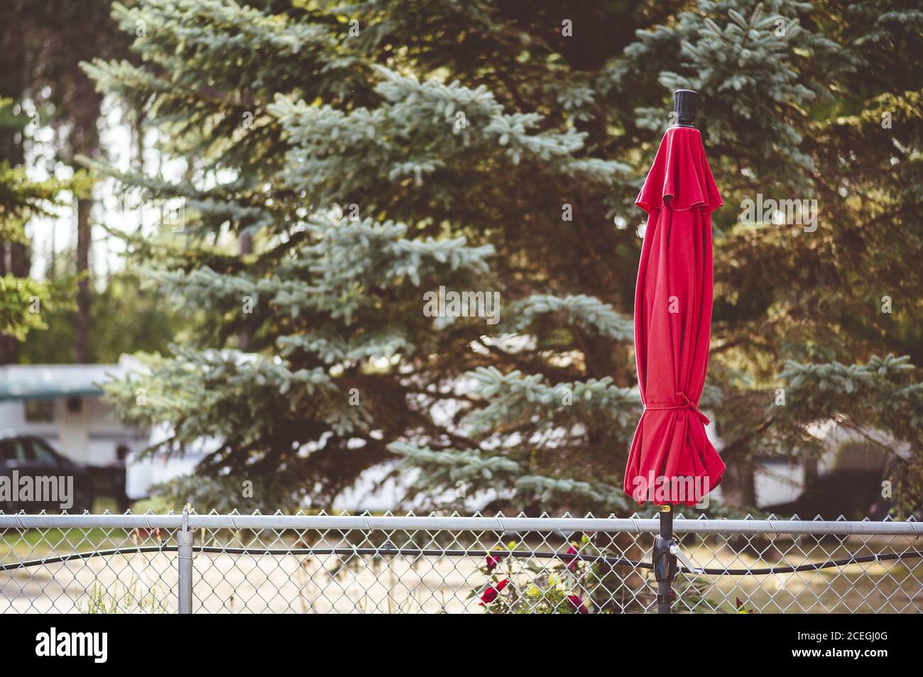 Closeup focus shot of a closed red pool umbrella Stock Photo - Alamy