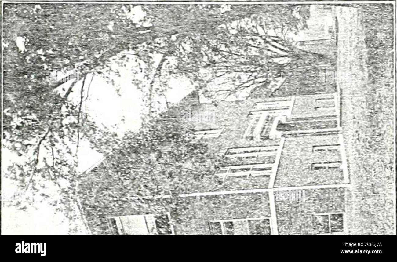 Roy cochran hi-res stock photography and images - Alamy