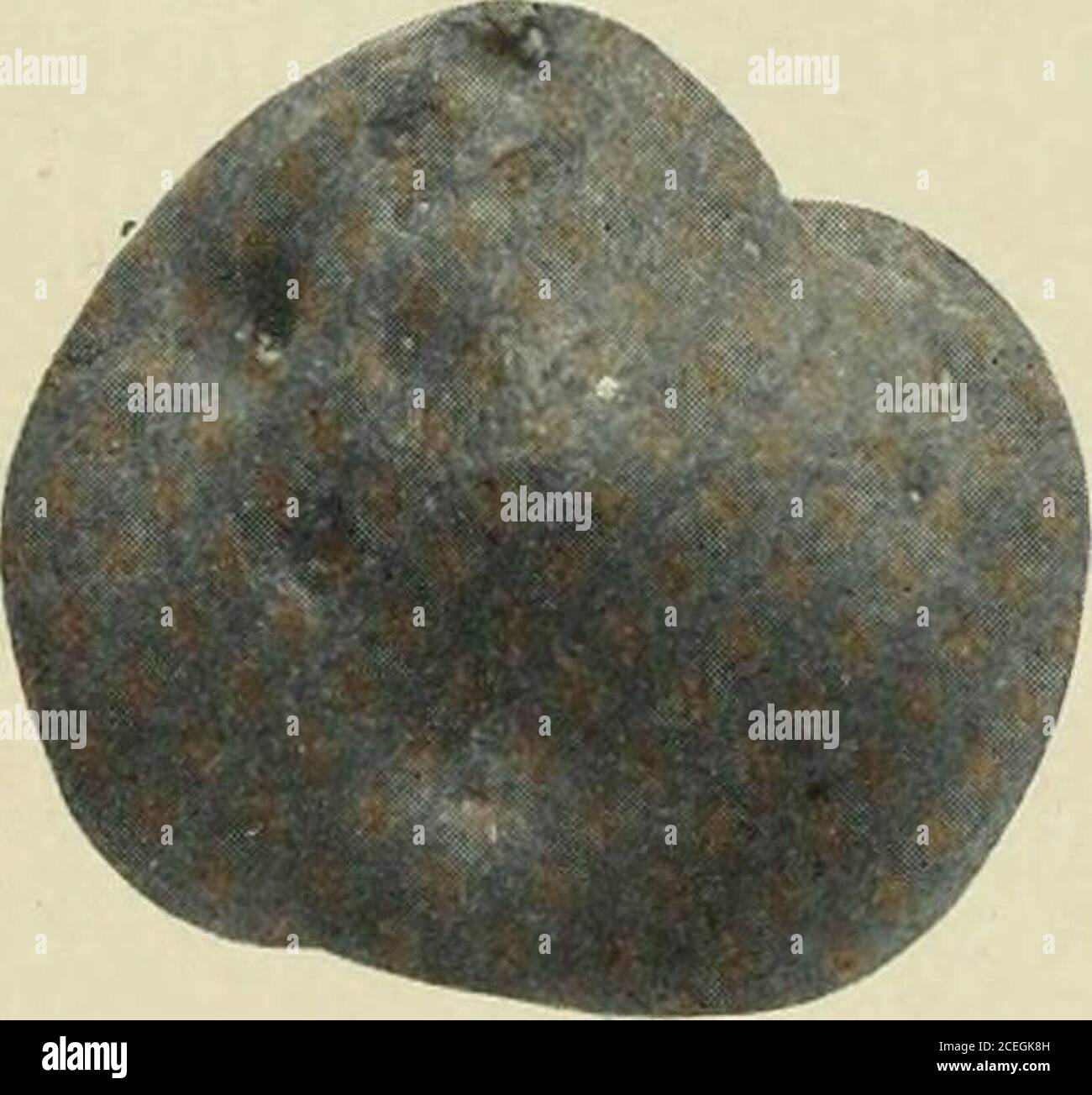 Puncturing the skin hi-res stock photography and images - Alamy