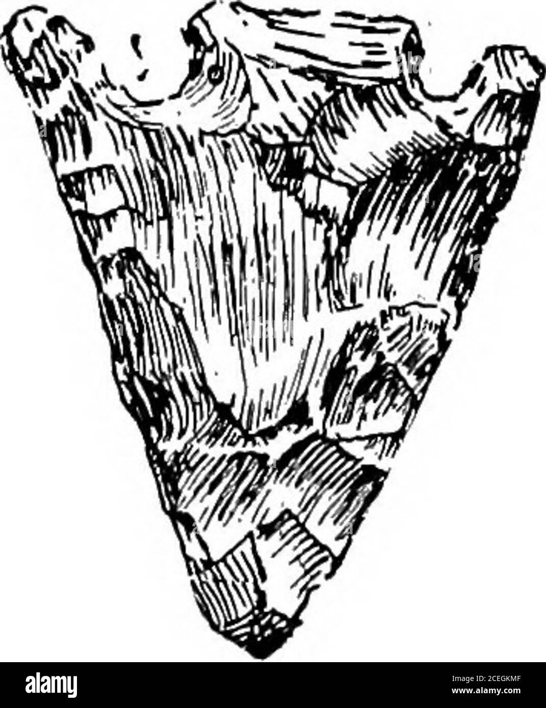 William nicks Cut Out Stock Images & Pictures - Alamy