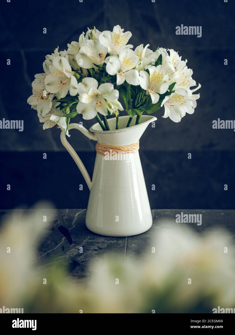 White Pitcher Flowers High Resolution Stock Photography and Images - Alamy
