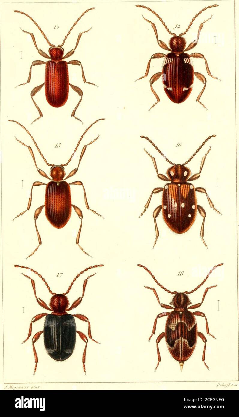 F bnre hi-res stock photography and images - Alamy