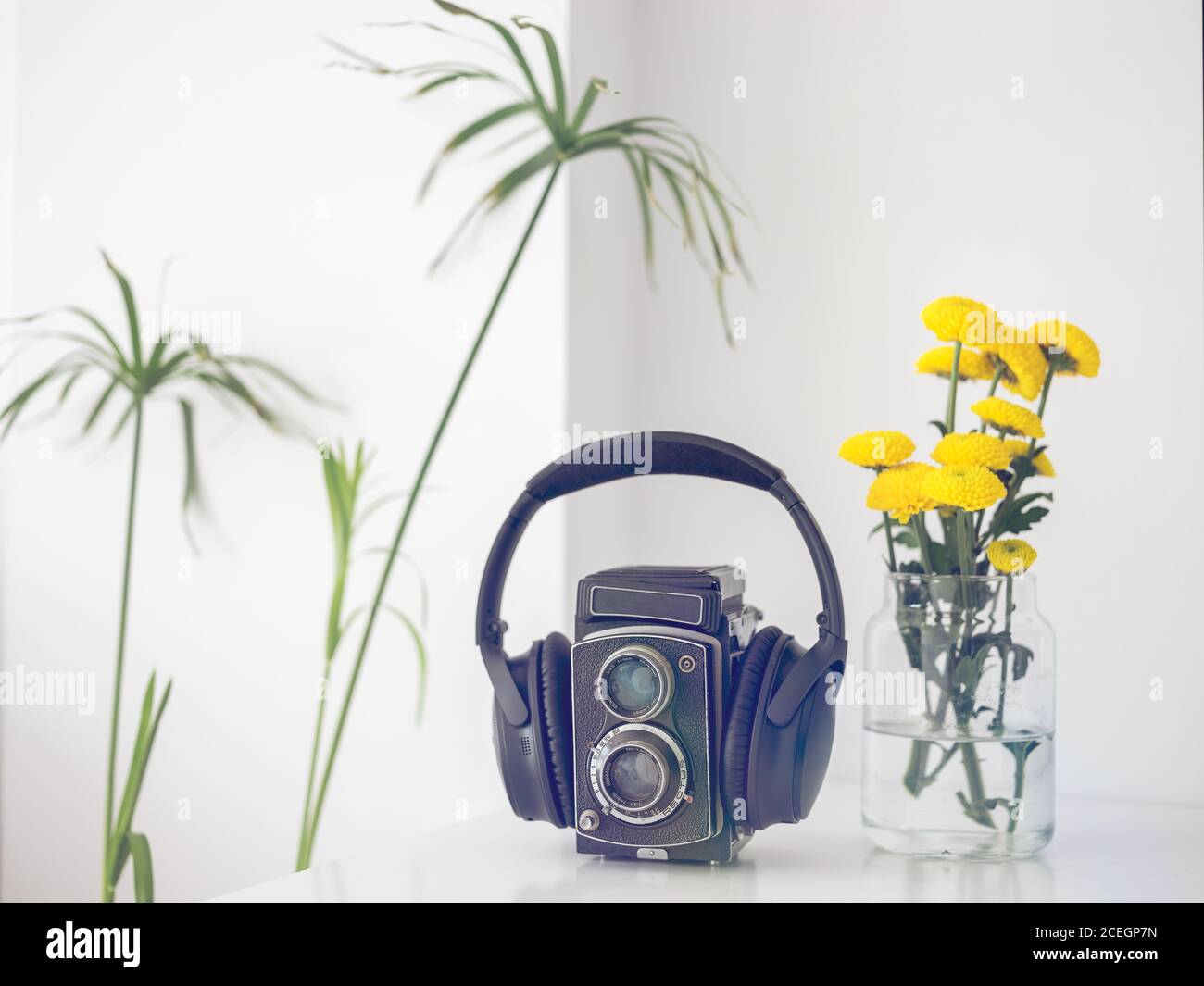 Musical device and plants Stock Photo - Alamy