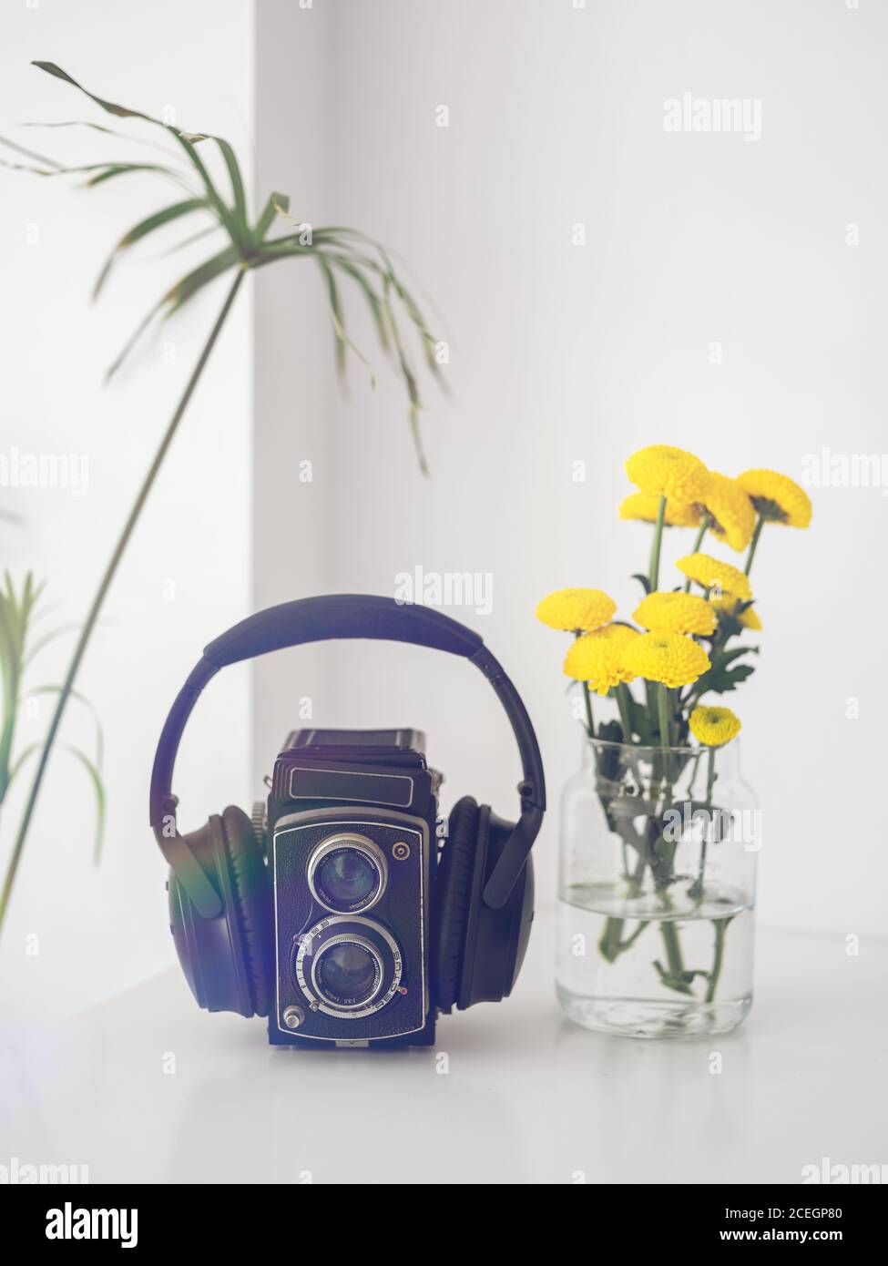 Musical device and plants Stock Photo - Alamy