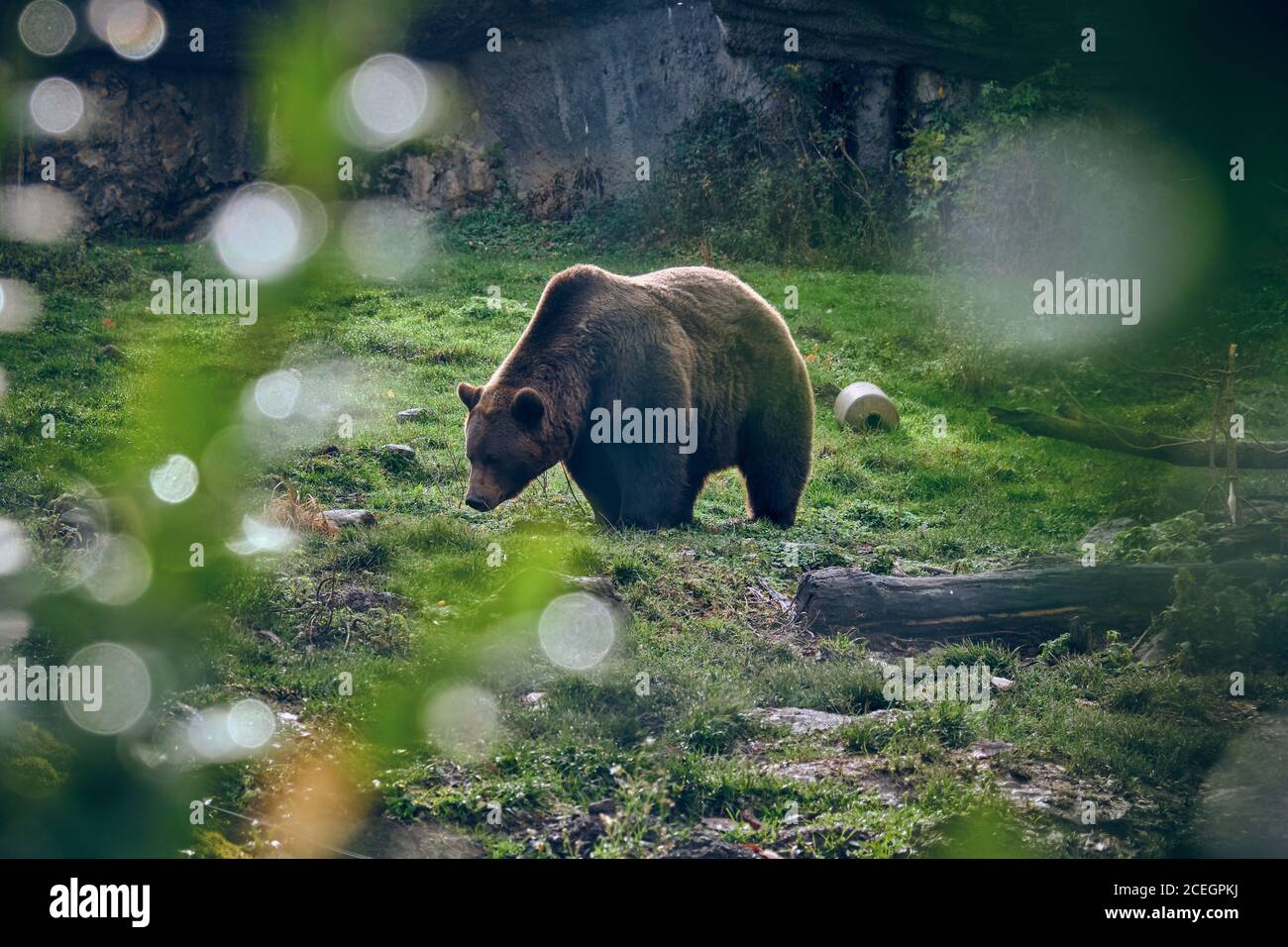 Smelling grass hi-res stock photography and images - Alamy