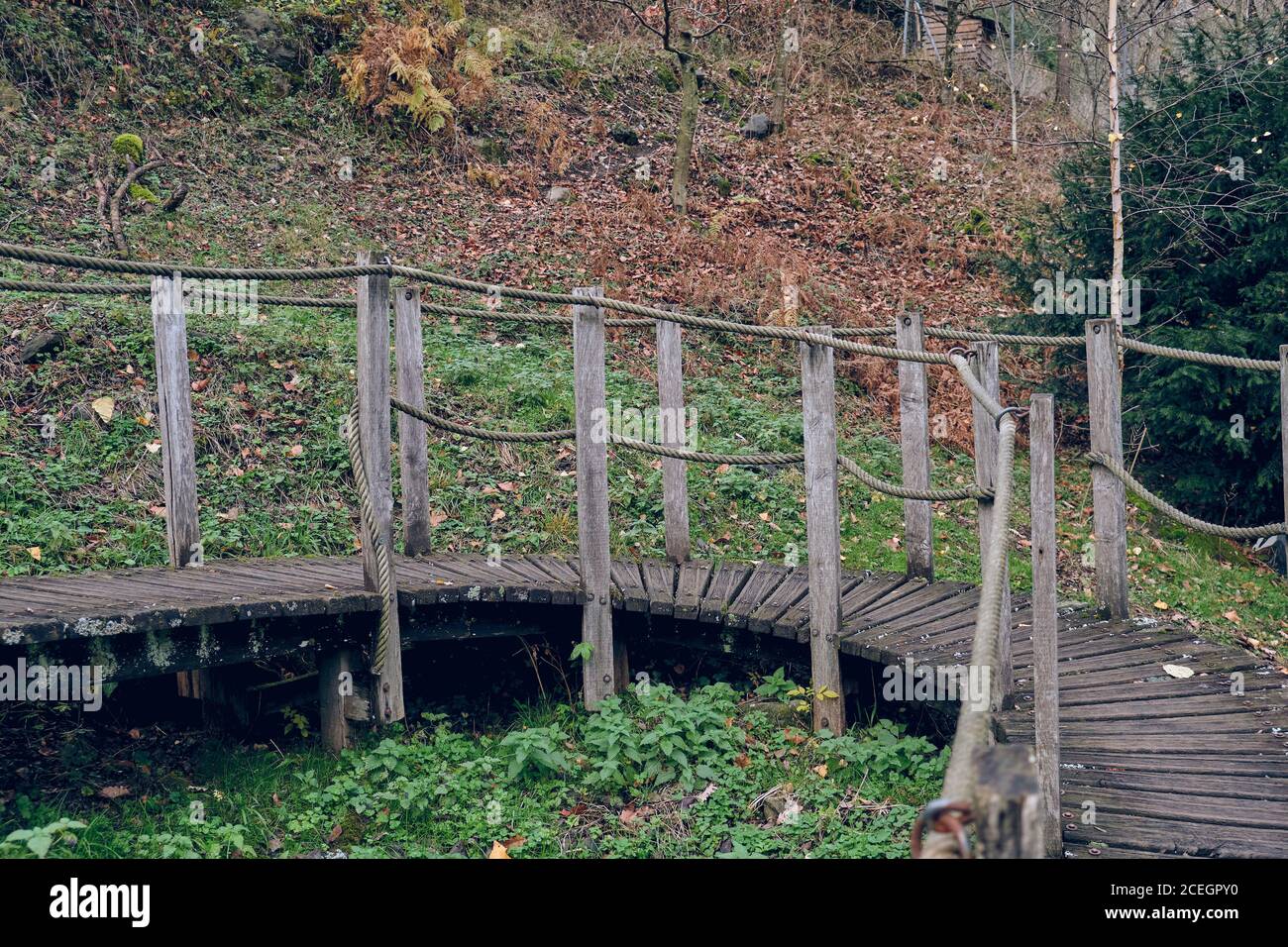 Old wood footpath with railings running between grass in forest near ...