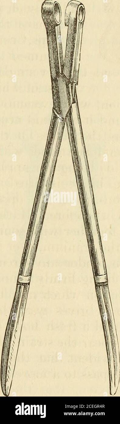 . A system of midwifery, including the diseases of pregnancy and the ...