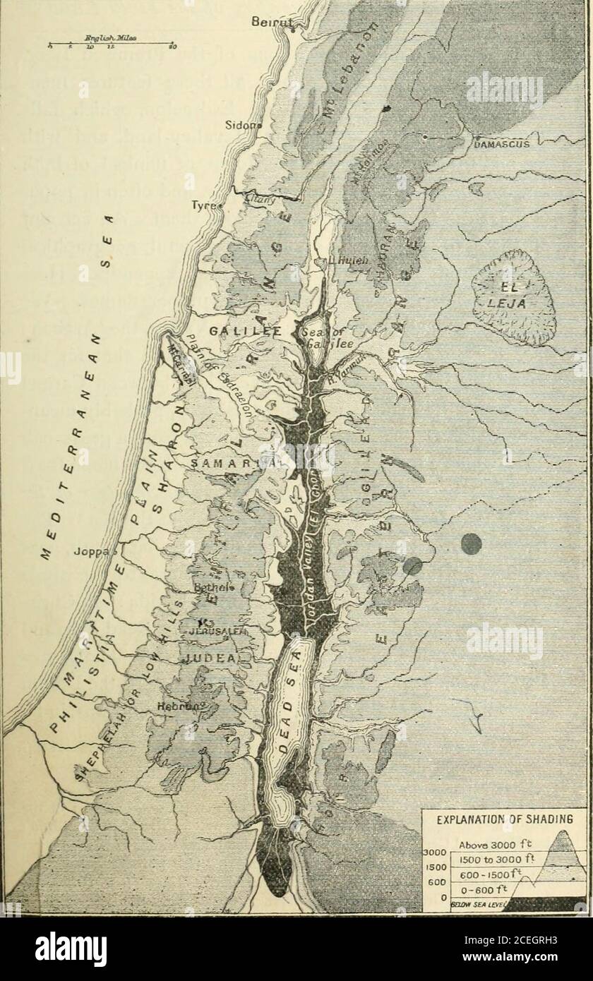 Negeb hi-res stock photography and images - Alamy