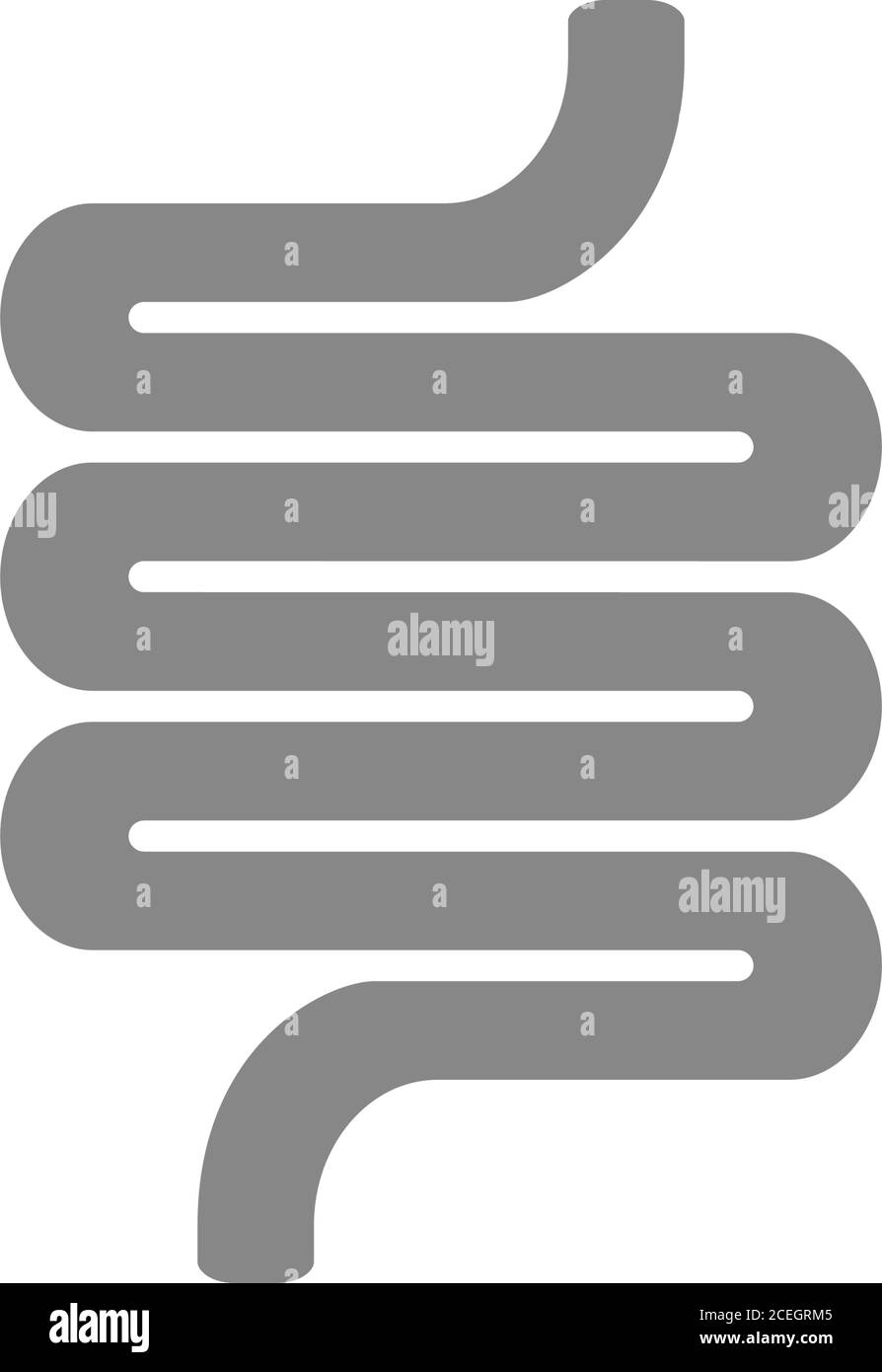 Human Anus High Resolution Stock Photography and Images - Alamy