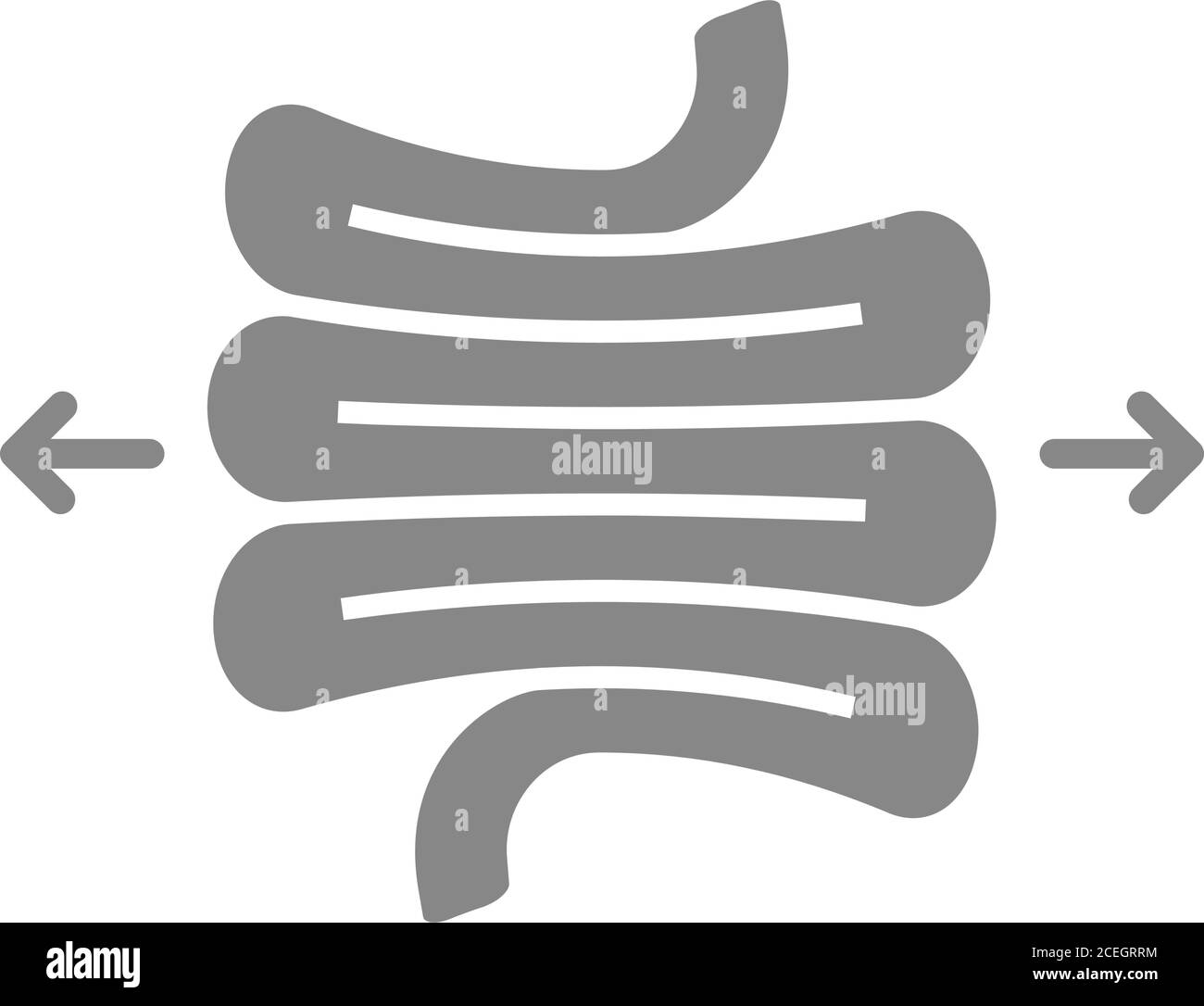 Irritable bowel syndrome grey icon. Diseases internal organ symbol ...