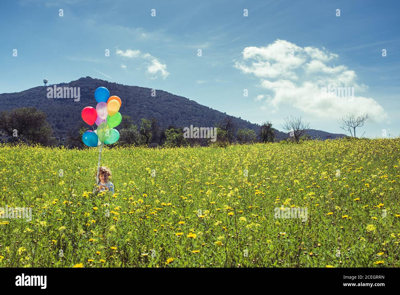 Little boy walking on meadow with balloons Stock Photo - Alamy