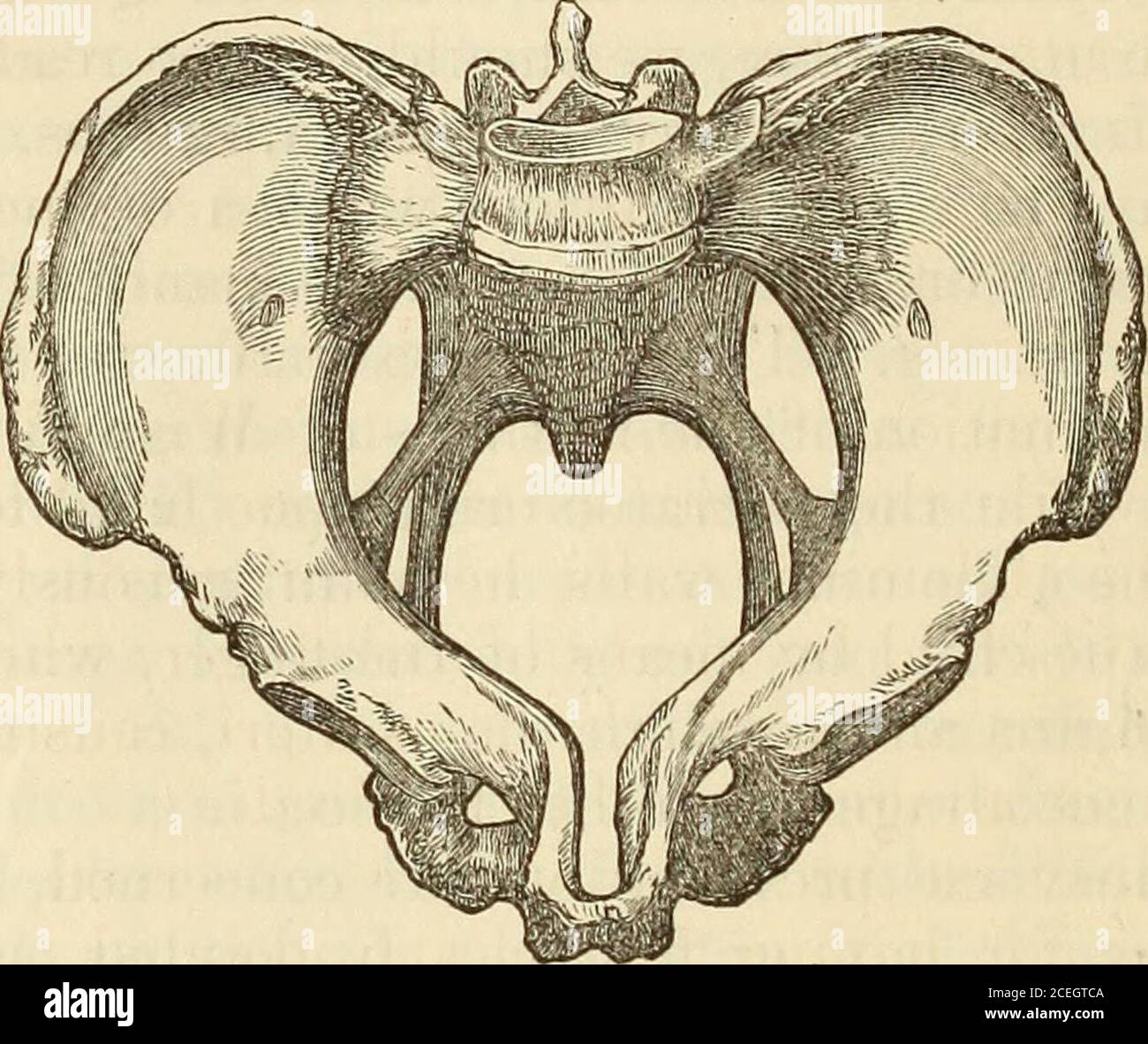. A system of midwifery, including the diseases of pregnancy and the ...