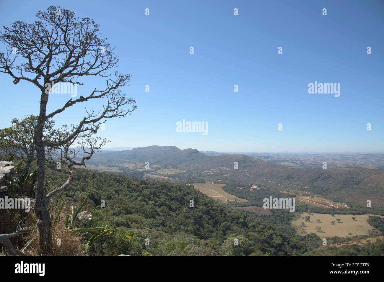 Dry vegetation hi-res stock photography and images - Alamy