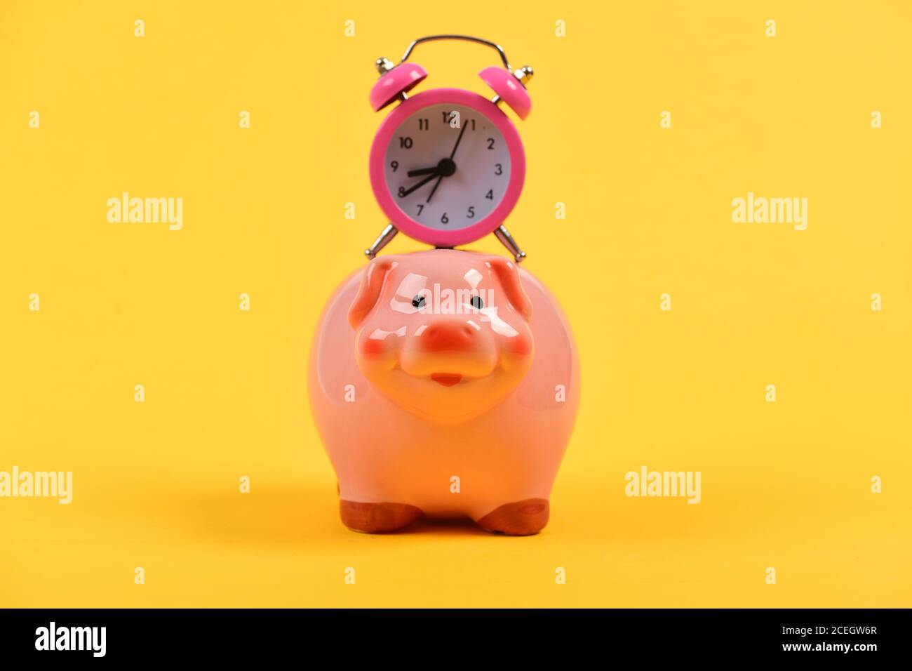 Pig timer hi-res stock photography and images - Alamy