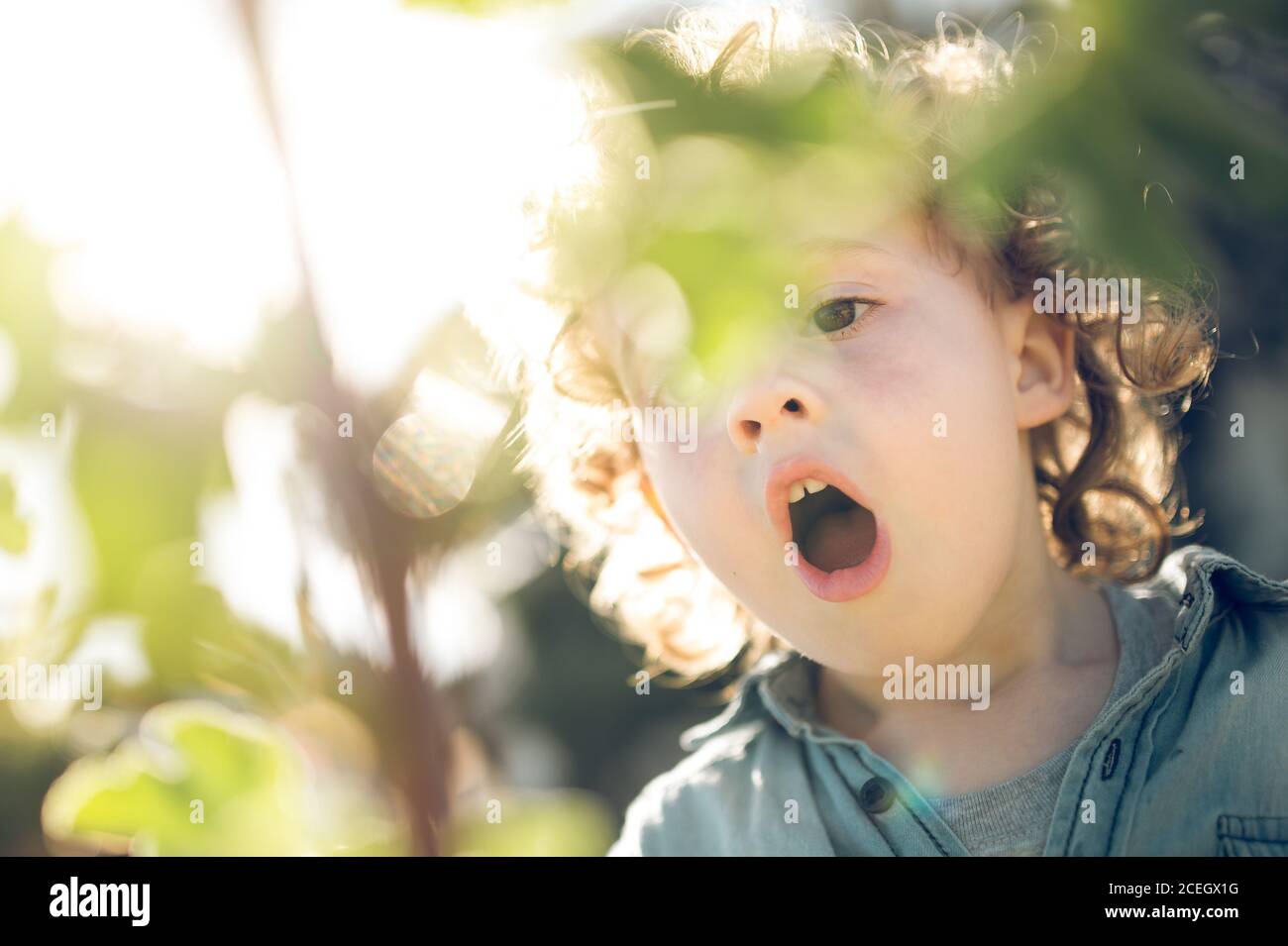 Surprised boy standing at bush Stock Photo - Alamy