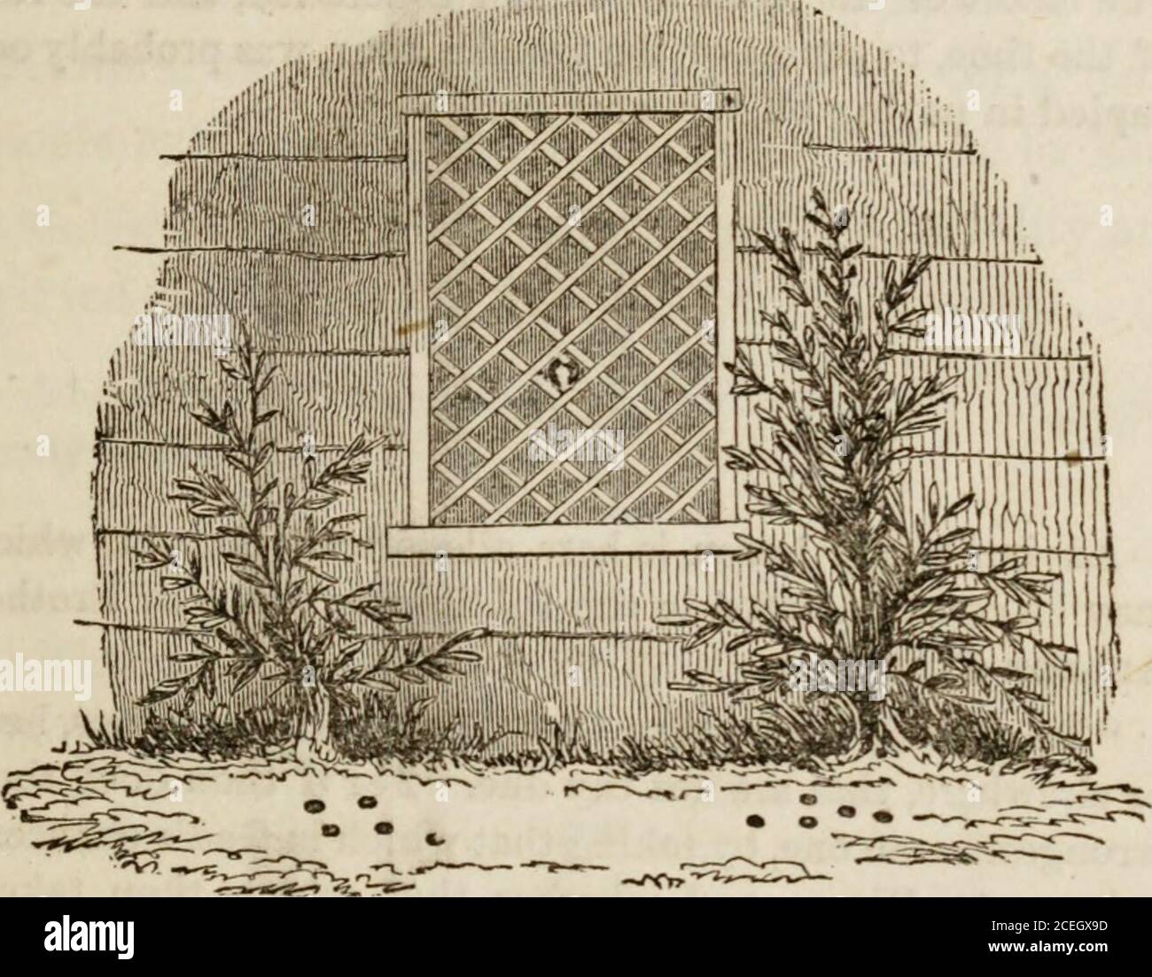 Stone masons mark hi-res stock photography and images - Alamy