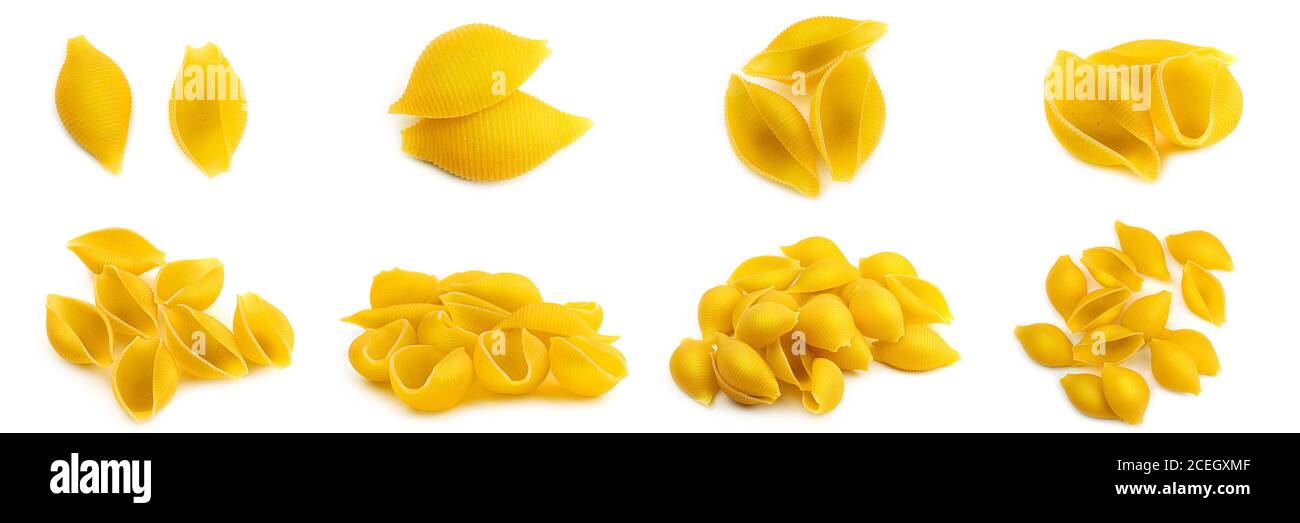 Different shell hi-res stock photography and images - Alamy