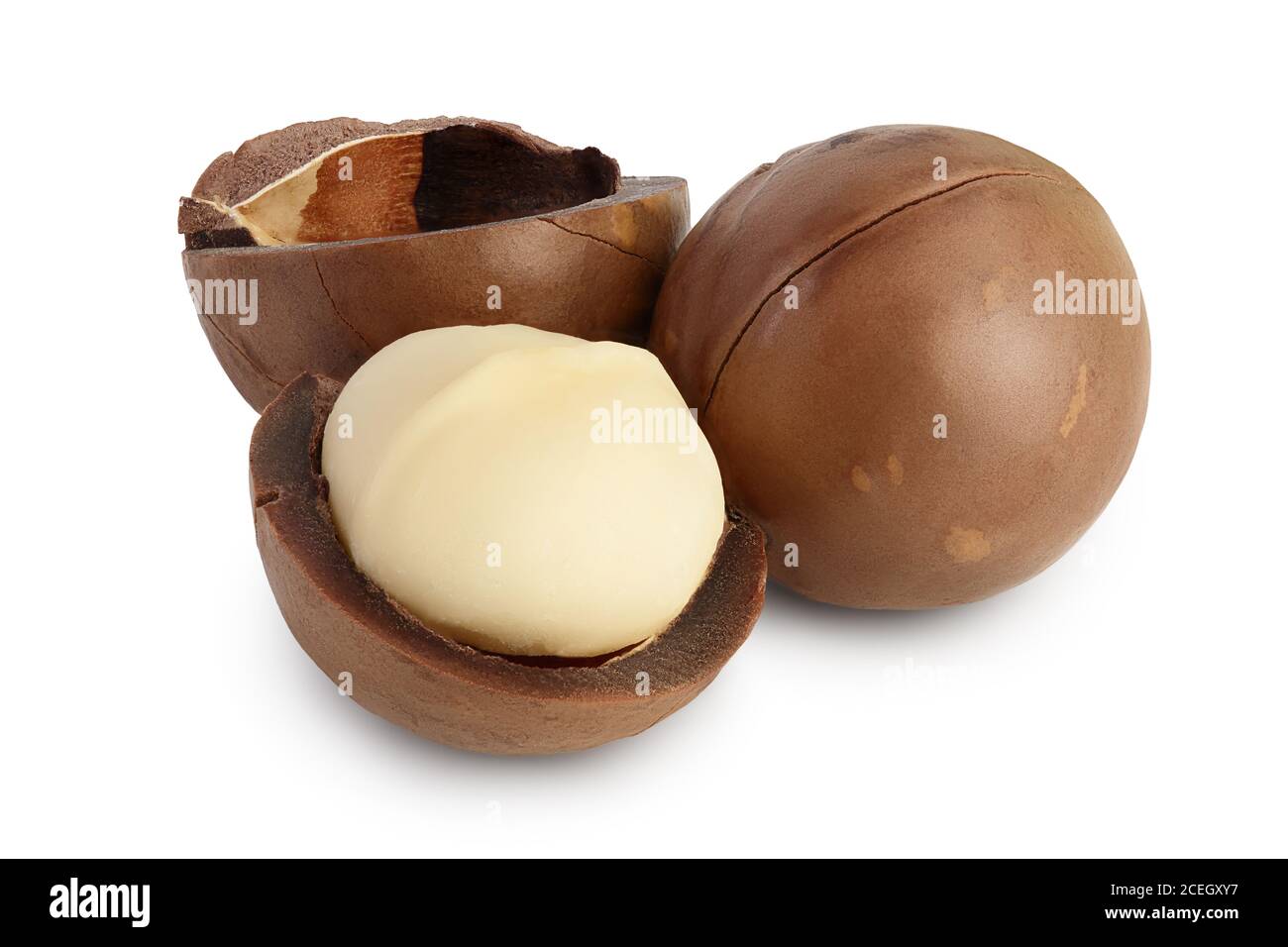 macadamia nuts isolated on white background with clipping path and full ...