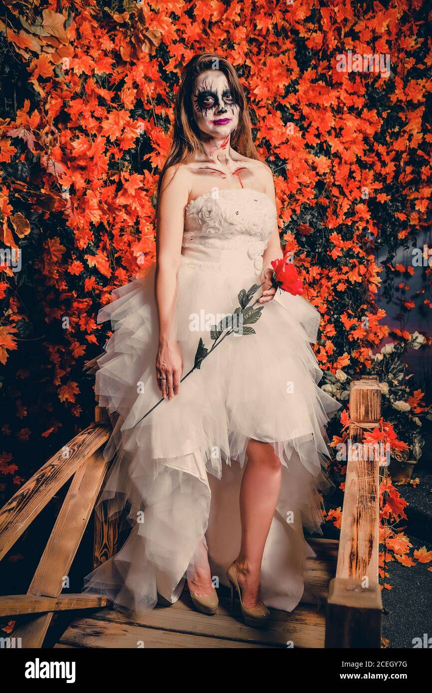 Image of a ghost girl in a wedding dress for halloween Stock Photo - Alamy