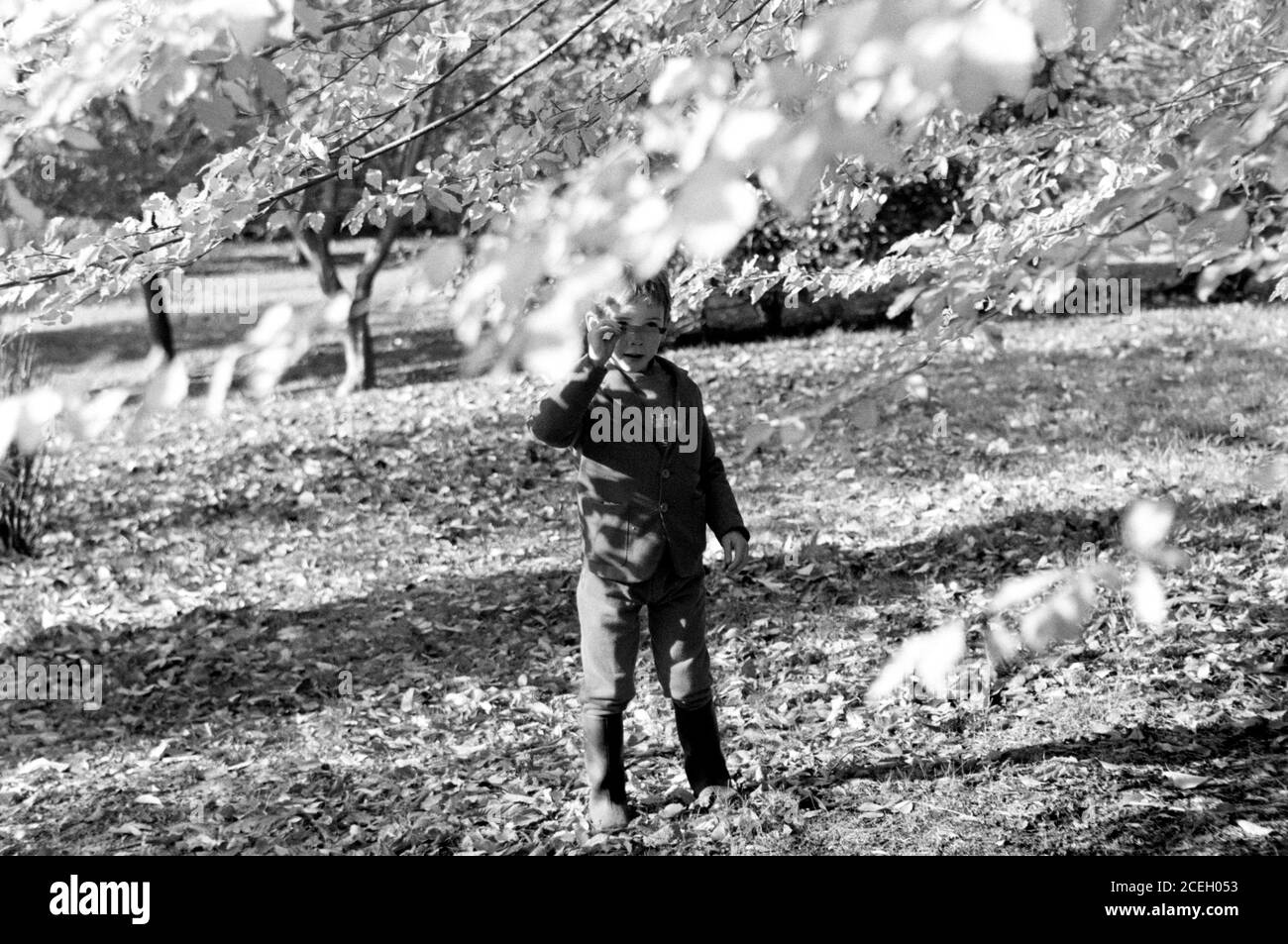 Primary school pupils visiting Hillier’s Arboretum Education Centre ...