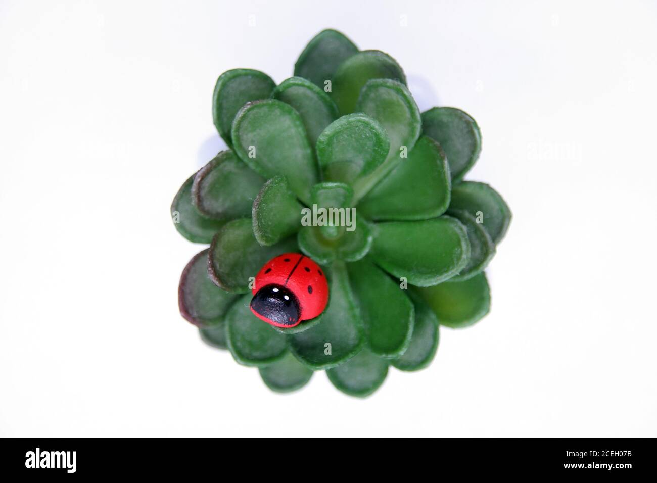 Lady bird blue house hi-res stock photography and images - Alamy