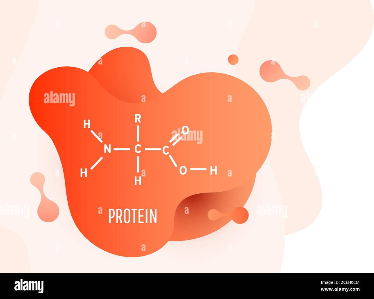 Protein Chemical Formula