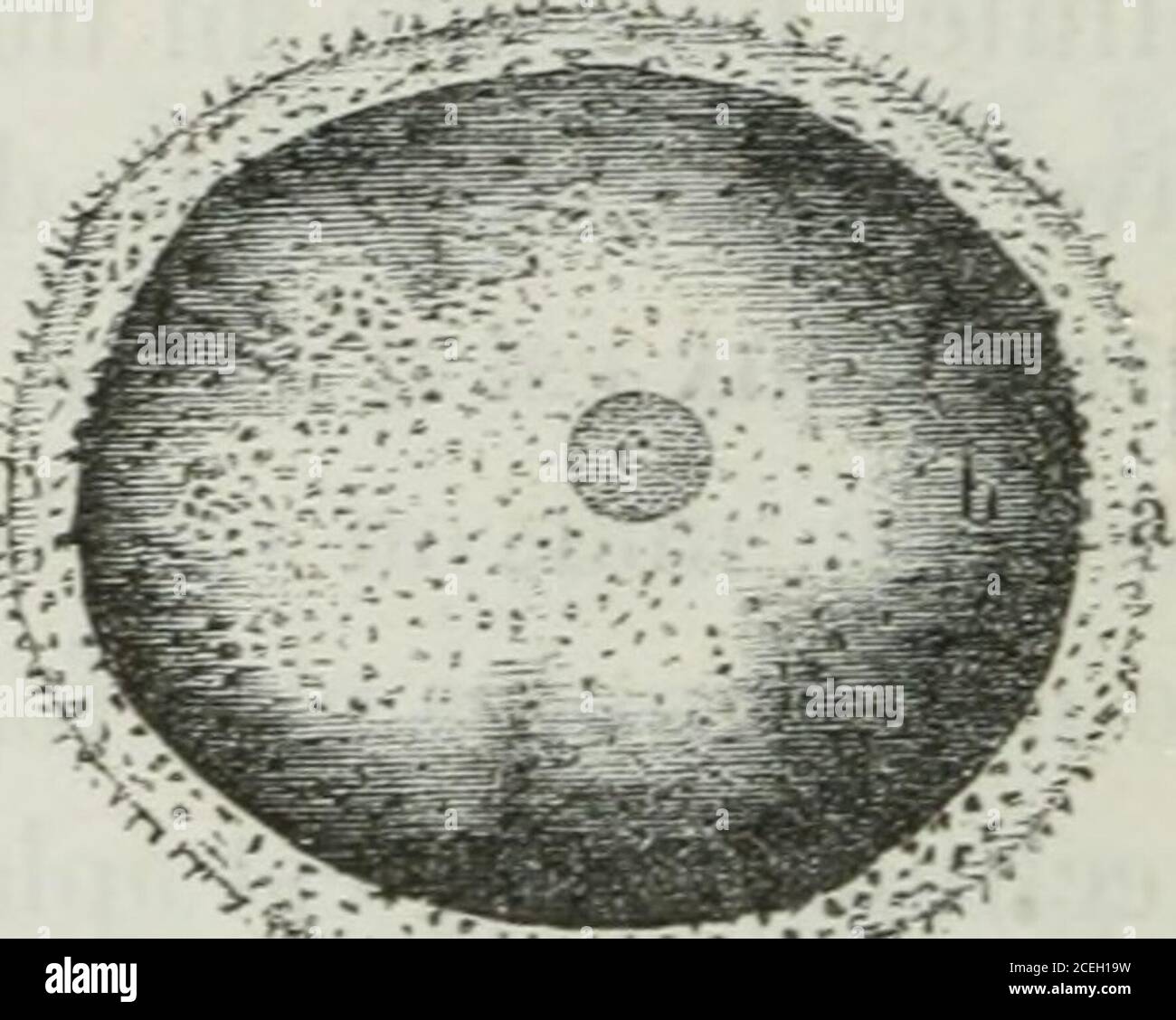 Lettres minces hi-res stock photography and images - Alamy