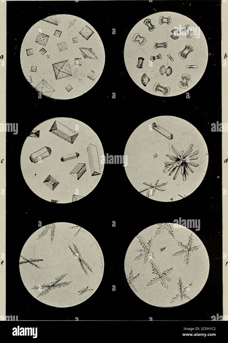 Uric Acid Crystals How To Remove Gout Crystals From Joint?