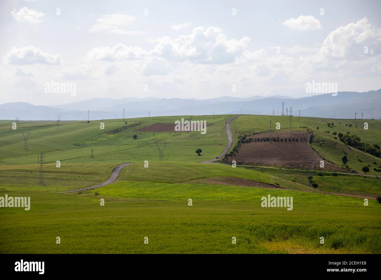 Green Grass Field Landscape with fantastic clouds Stock Photo - Alamy