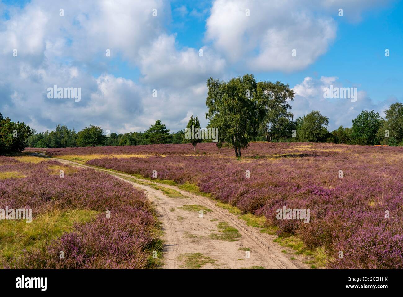 Heather Sand High Resolution Stock Photography and Images - Alamy