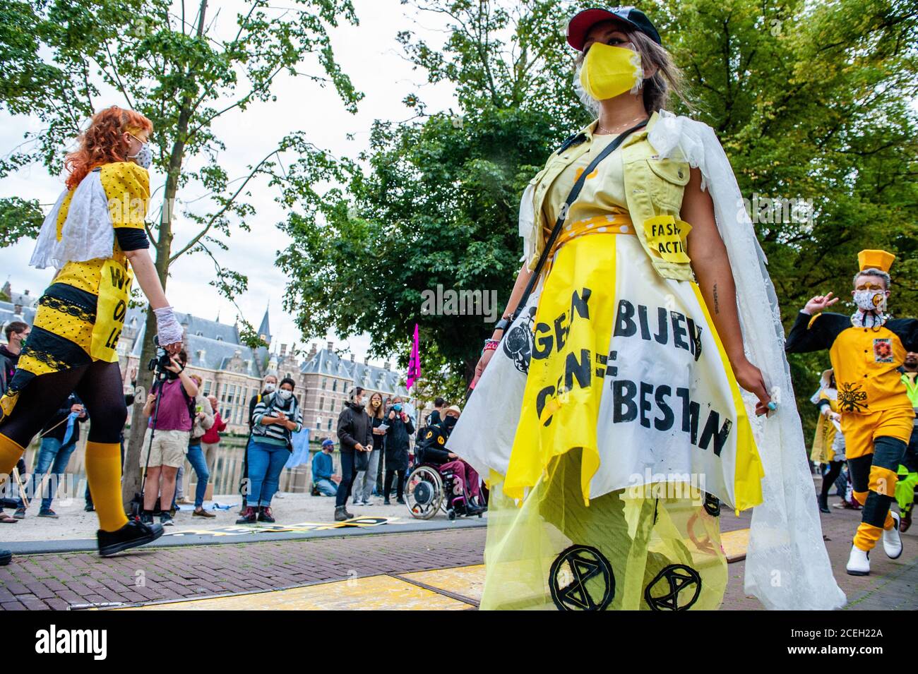 Hague designs hi-res stock photography and images - Alamy