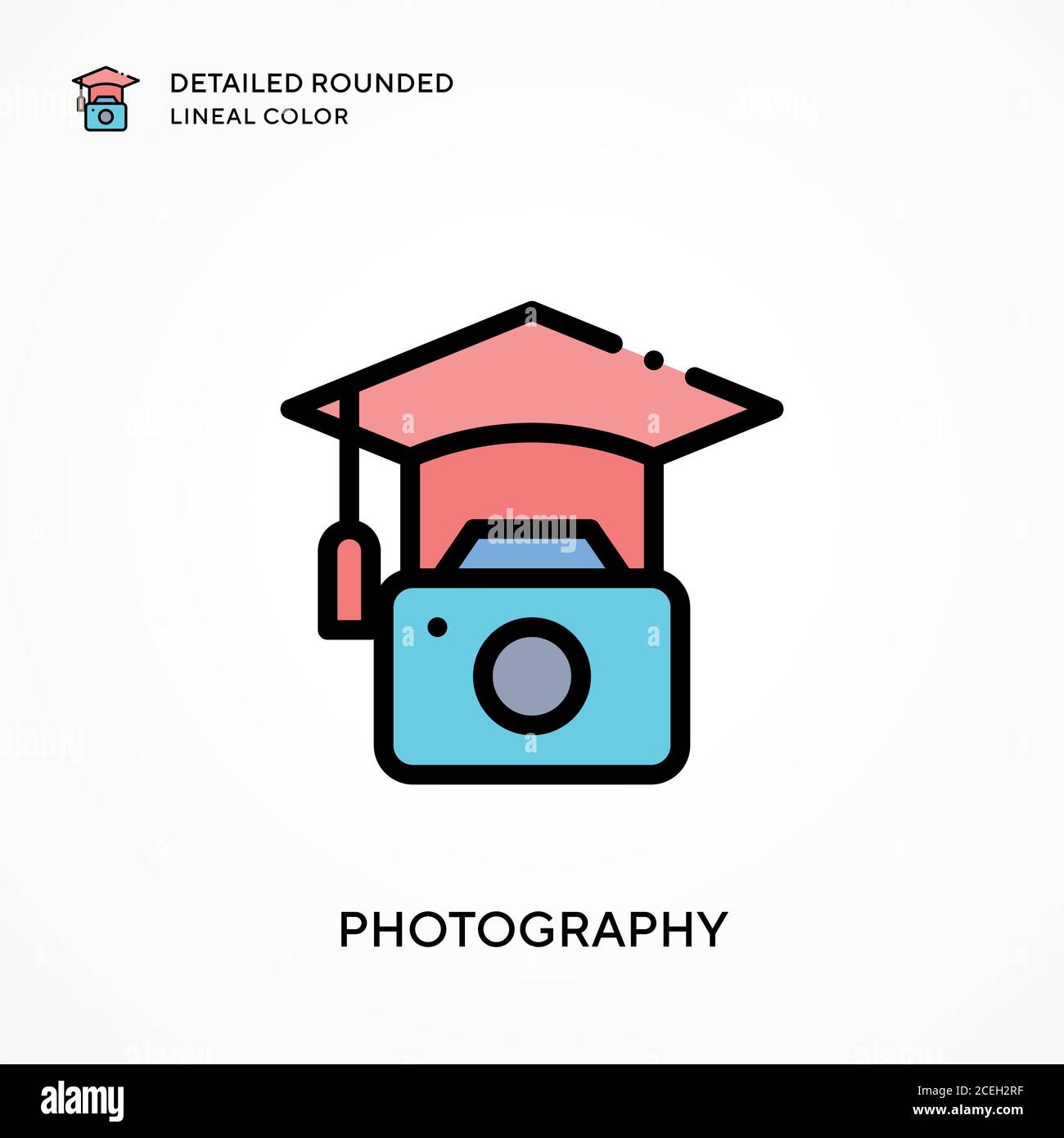 Photography detailed rounded lineal color. Modern vector illustration ...