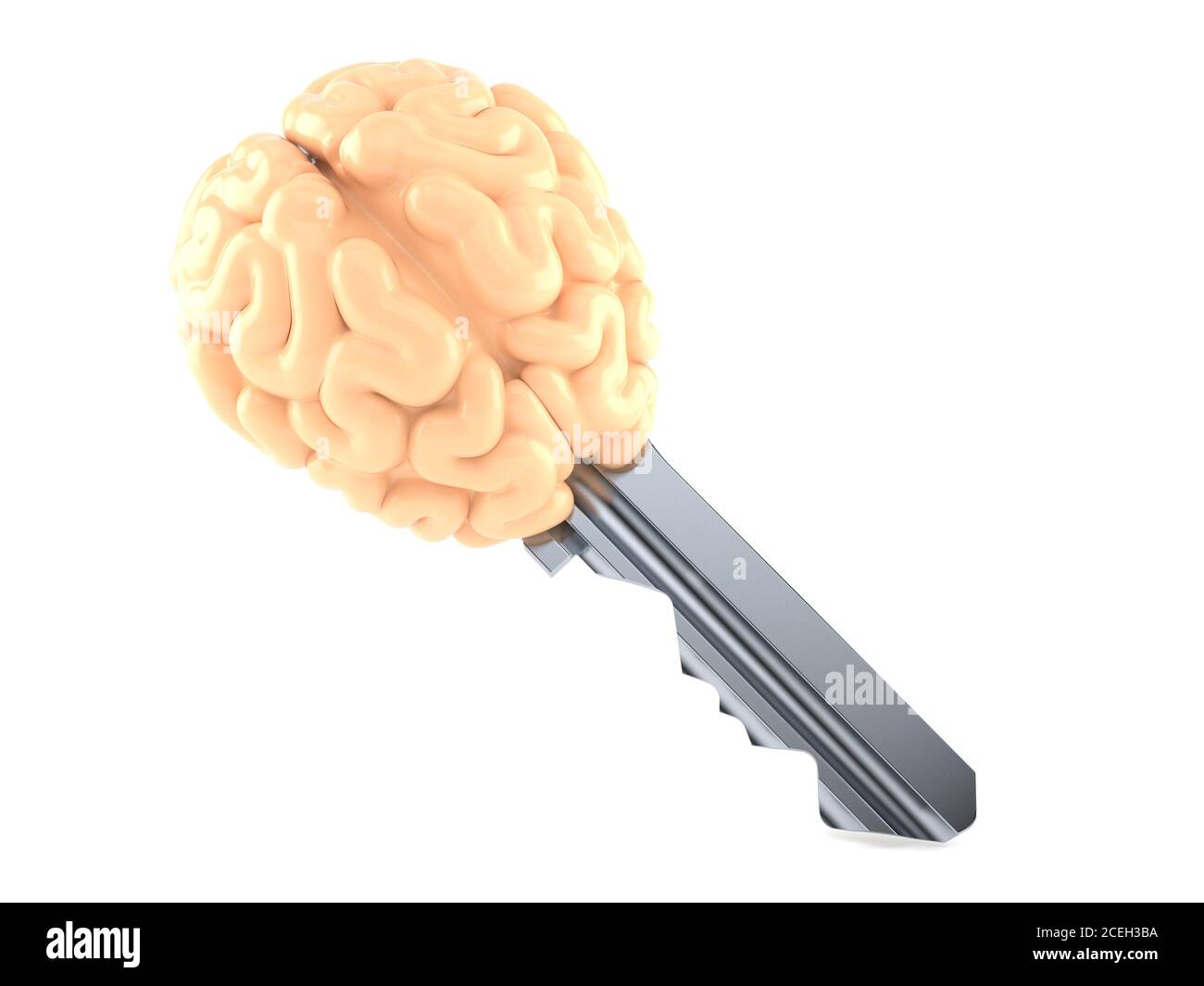 Brain key isolated on white background Stock Photo - Alamy