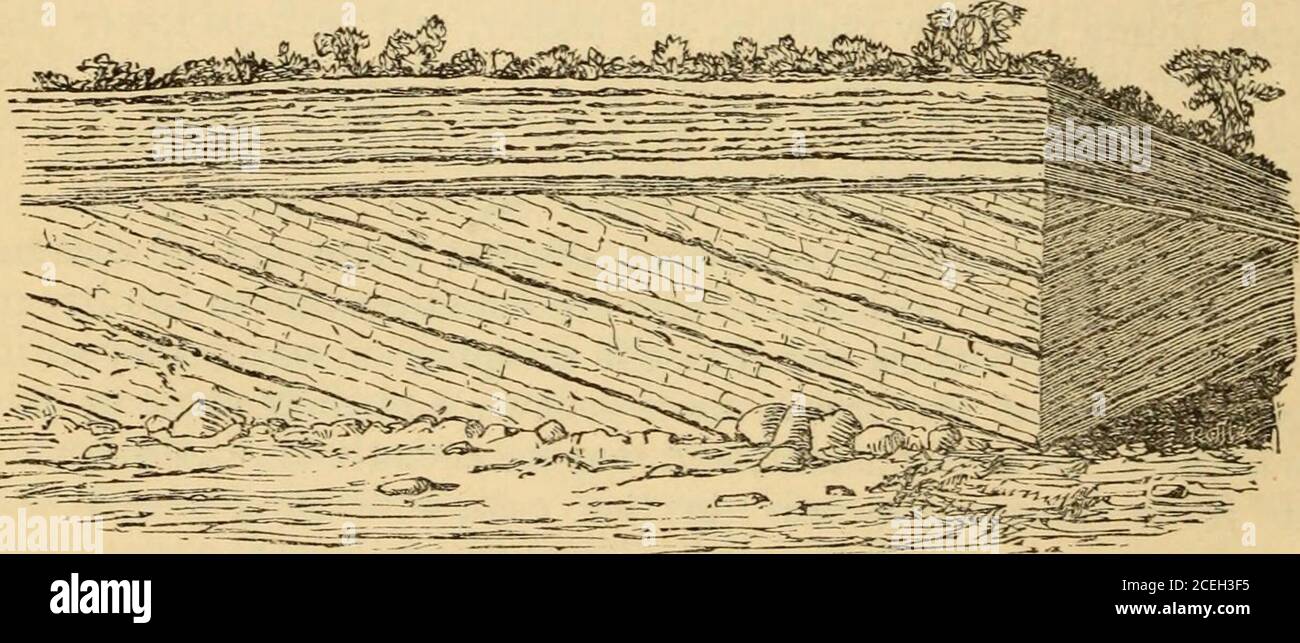 . The Quarterly journal of the Geological Society of London. of ...