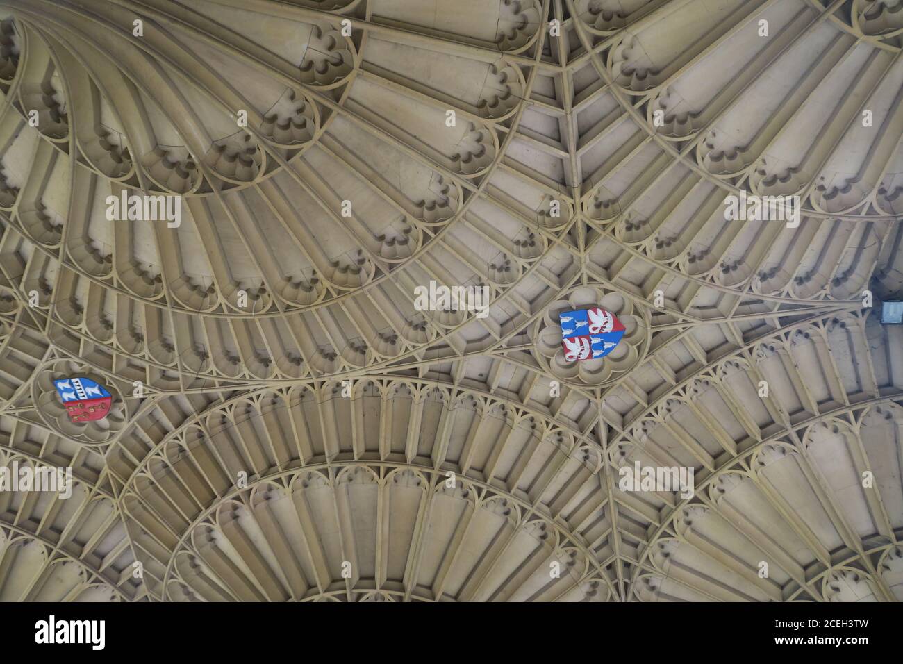 Architecture Gothic ceiling King's Chapel Cambridge Stock Photo - Alamy