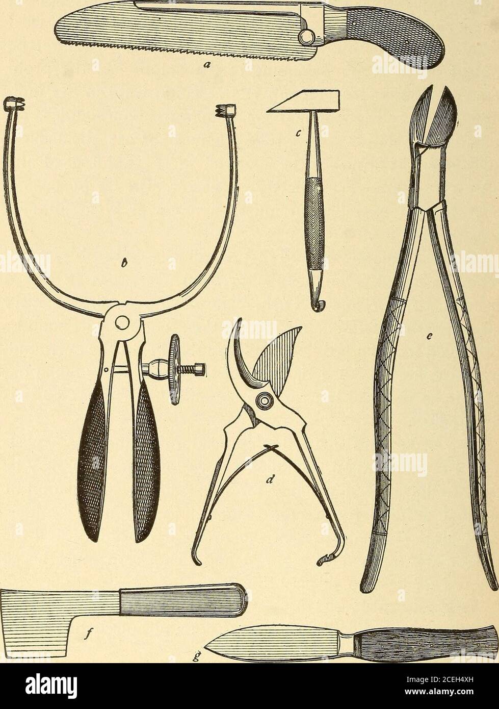 . Pathological technique; a practical manual for workers in ...