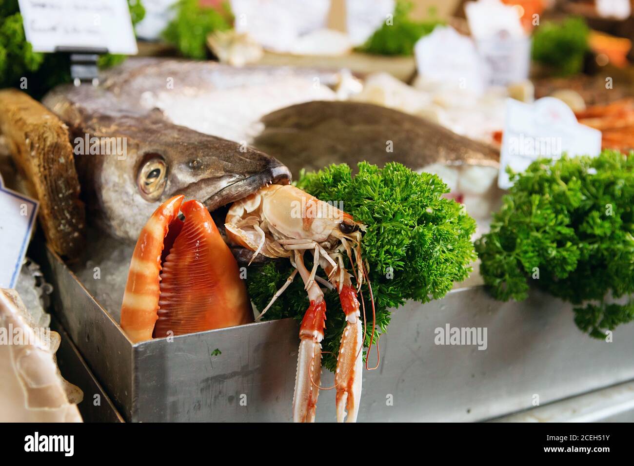 Freshly caught Sea fishes, lobster and other seafood on display at the ...