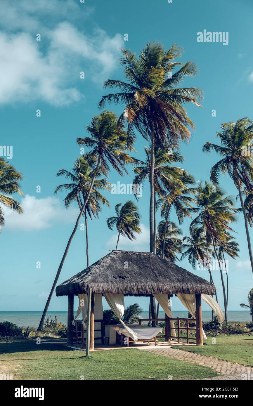 Tent grass hi-res stock photography and images - Alamy