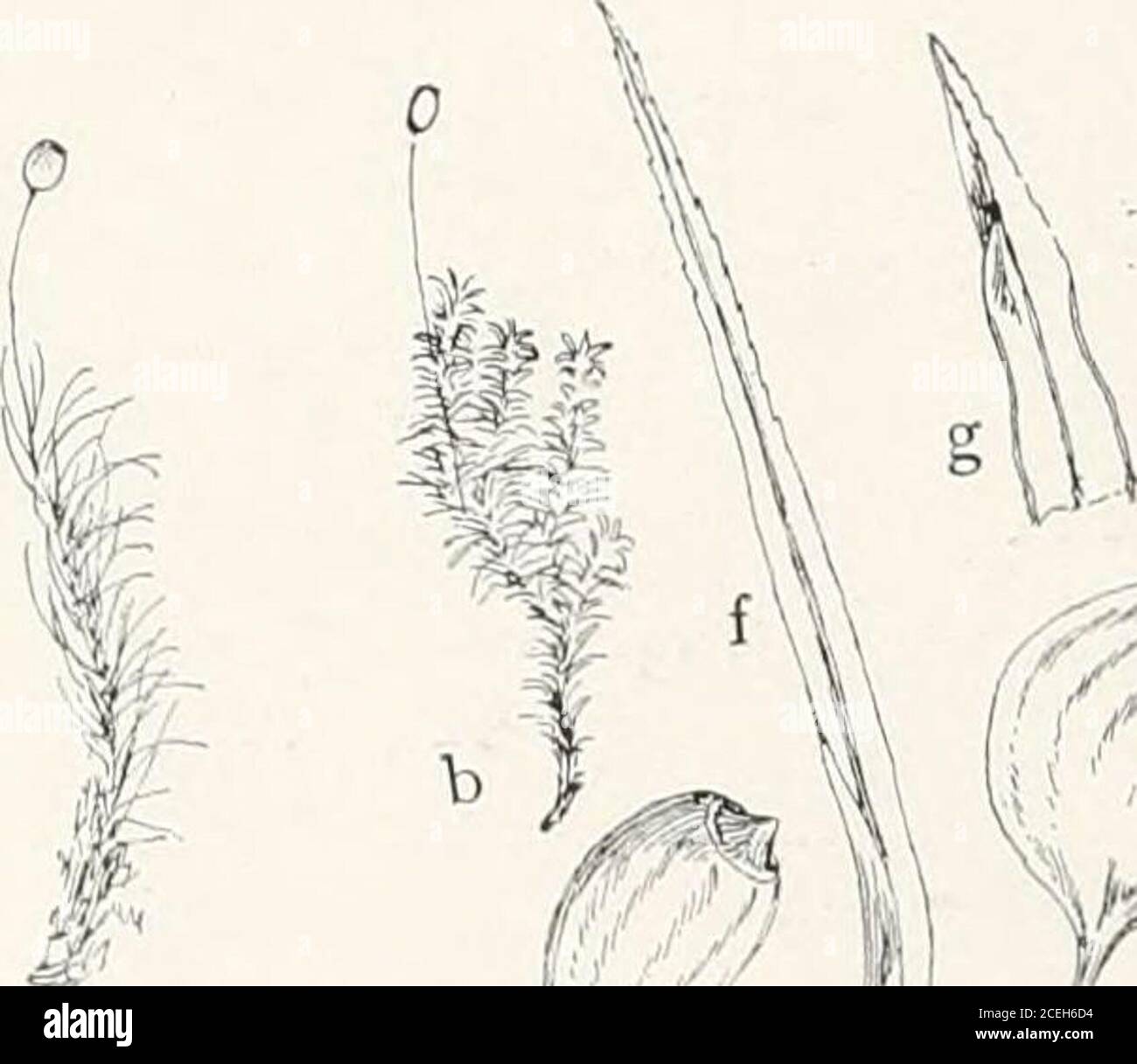 Revolute margin hi-res stock photography and images - Alamy