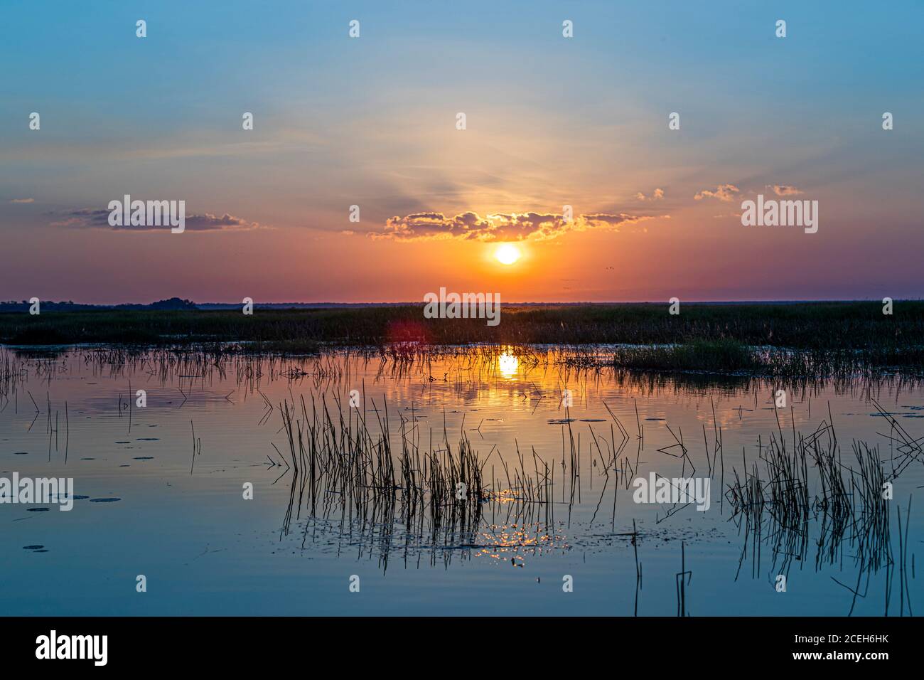 Guided Tour through the Australian Outback Stock Photo - Alamy
